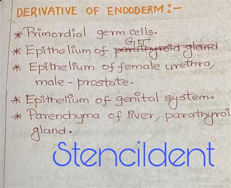 Derivatives Of Germ Layers