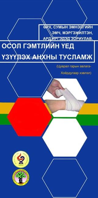 Осол гэмтлийн үед үзүүлэх анхны тусламж Pdf