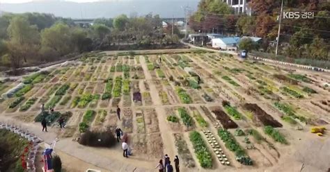 쓰레기 넘치던 공터 ‘시민농장으로 탈바꿈 쓰레기 넘치던 공터 ‘시민농장으로 탈바꿈