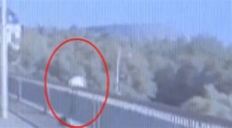 公交车在公路大桥上紧急停车！一车人都冲了出去手机新浪网
