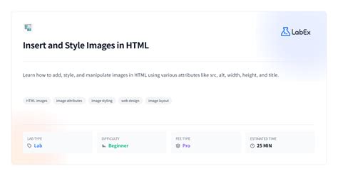 Insert And Style Images In Html Labex