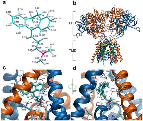 Molecular Modeling Of Amitriptyline Atl Interactions With The Nmdar Download Scientific