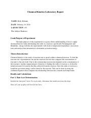 Chemical Kinetics Lab Report Pdf Chemical Kinetics Laboratory Report NAME Holly Holman DATE