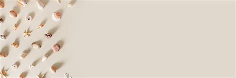 조개와 불가사리가 베이지 색 배경에 넓은 배너 여름 개념 해상 패턴 파스텔 색상 미적 트렌드 레이아웃 쉘 바다 별 최소한의 스타일 창조적 인 구성 갑각류에 대한 스톡 사진