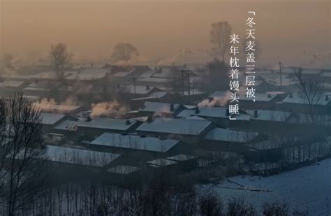 NATURES品牌片土话是写给大地的情话 广告狂人