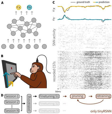 논문 리뷰 Decoding Finger Velocity From Cortical Spike Trains With
