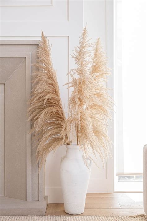 Pampas Grass Type 8 Uva Stalk Natural Nude Antique Inspiration