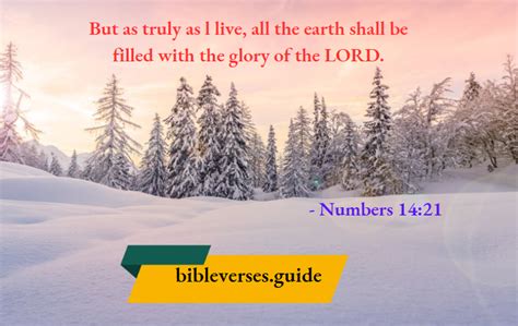 Numbers Archives Bible Verses