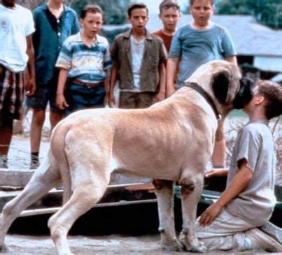 Today In Movie History The Sandlot 1993