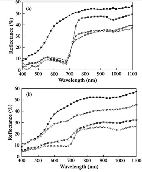 Spectral ground measurements of different surface components in the ...