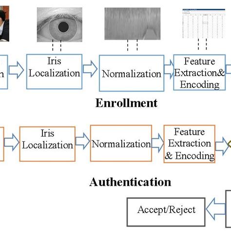 PDF Human Iris As A Biometric For Identity Verification
