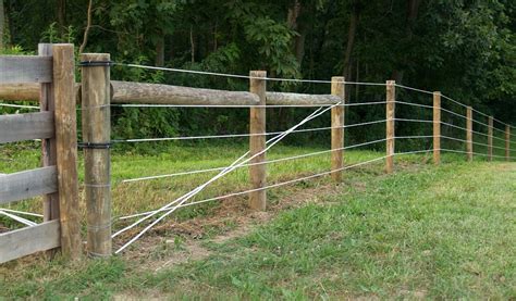 Pasture Fence Post Layout Farm Fencing Dropper Batten Tough And Durable