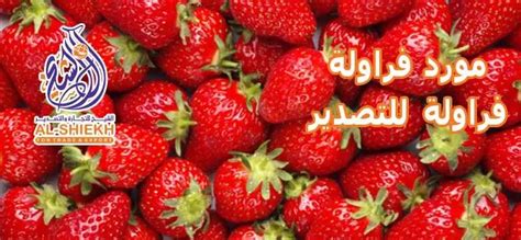اكبر مورد فراولة فريش ومجمدة من مزارع مصر الي جميع دول العالم