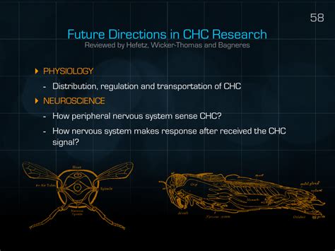 The Role Of Cuticular Hydrocarbon In The Social Insect On Behance