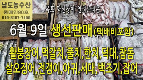 6월 9일판매 생선 활 붕장어 먹갈치 풀치 한치 덕대 눈볼대 간재미 참돔 전갱이 아귀 백조기 서대 잡어목포 남도농수산 탁선장 010 3167
