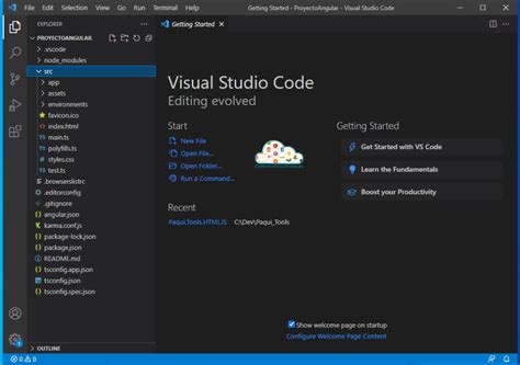 Angular Creación De Un Proyecto Colmena En La Nube