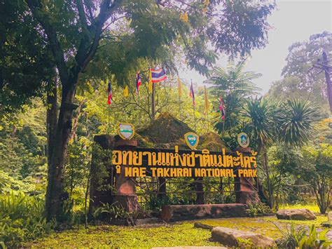 เลือกสิ่งที่สบายใจที่สุด ไม่ต้องดีที่สุดแต่มีความสุขกับมันที่สุด 💚 10 42 น 18 อุทยาน