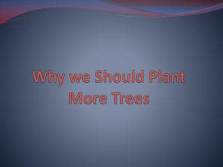 PPT Tree Plantation PowerPoint Presentation Free Download ID 8076096