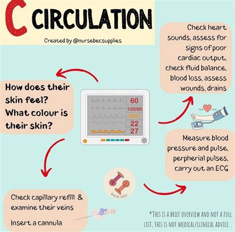 Abcde Circulation Medizzy