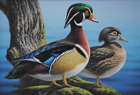 Duck Painting