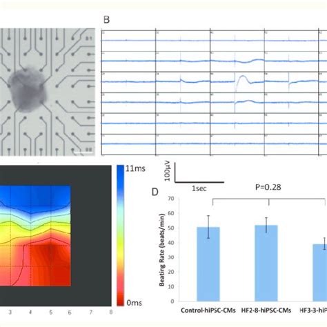 Multi Electrode Array Recordings A And B Extracellular Recordings Download Scientific