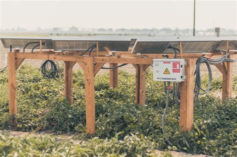 바로 아래에서 작물 키운 태양 전지판 수명 연장된다” 테크레시피