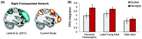 Right Frontoparietal Network Connectivity During The Oddball Task A Download Scientific
