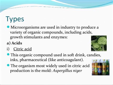 Mic204 Food Microbiology Chapter 11 Beneficial Uses Of Microorg
