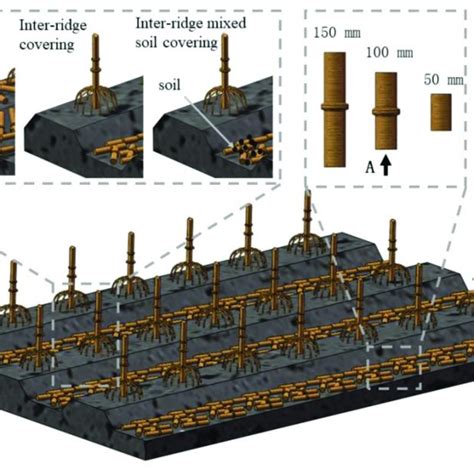 Sketch Of Level Expression Of Test Factors Download Scientific Diagram