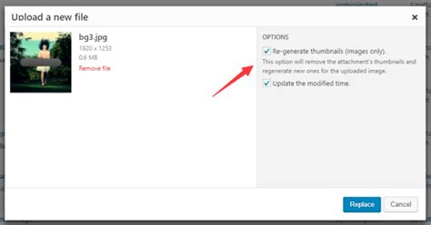 Replace Media Files With A Single Click Easy Media Replace WP Missing