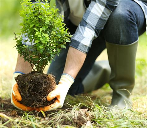 Traueranzeigen Von Heinz Robert Redel Shz Trauer