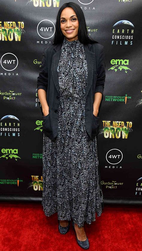 Red Carpet Rosario Dawson