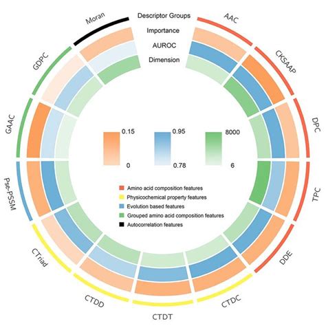 Comparison Of The Feature Descriptors In Terms Of Feature Importance Download Scientific
