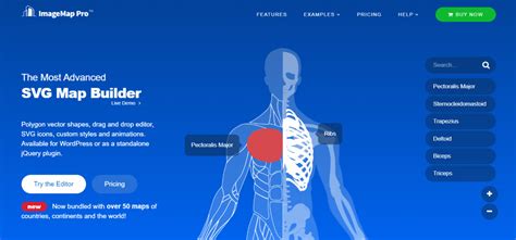 Wordpress Interactive Map Plugins Wbcom Designs