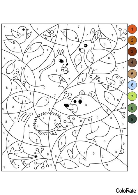 Раскраски по номерам по цифрам распечатать на А4 и скачать