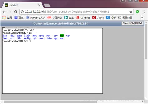 noVNC VNCserver实现远程访问Docker容器桌面 知乎
