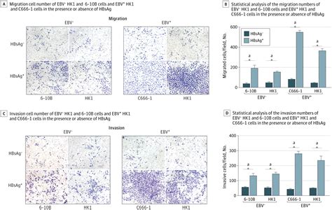 Synergistic Association Of Hepatitis B Surface Antigen And Plasma