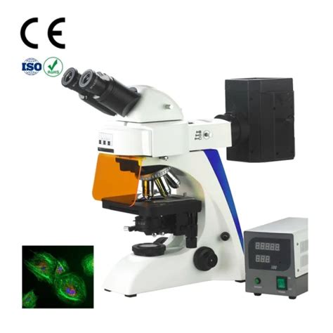 Diy Microscope Binocular Fluorescence Microscopy Working Principle For Magnification Microscopes