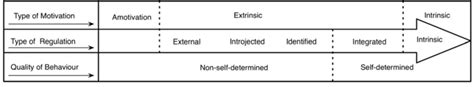 2 Self Determination Theory Deci And Ryan 1980 Download Scientific