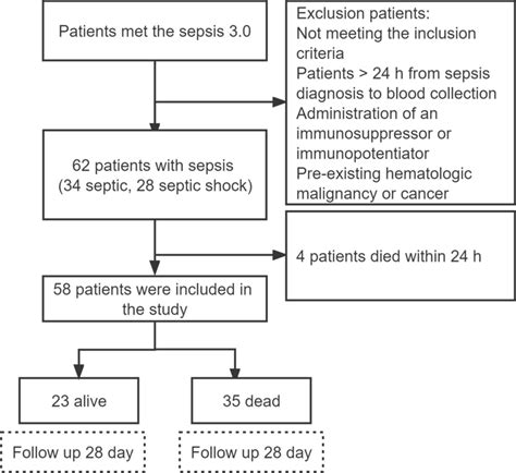 Flow Chart For Sepsis Patients Download Scientific Diagram