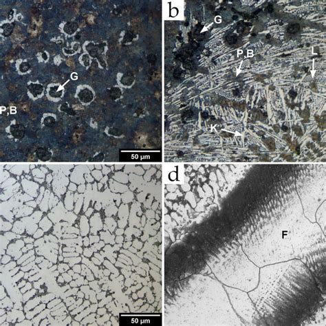 Microstructure Of The Nodular Cast Iron Used In The Study P Perlite
