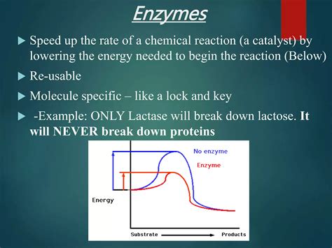 Biological Macromolecules 2015 1 Ppt