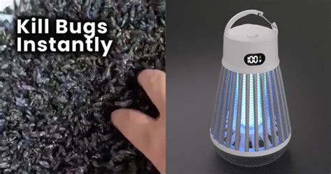 THIS DAD ZAPPED 10 000 MOSQUITOES OVERNIGHT USING THIS SIMPLE TRICK