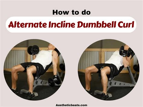 Alternate Incline Dumbbell Curl Biceps Exercise Aestheticbeats