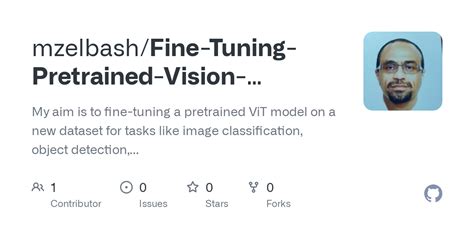 github mzelbash fine tuning pretrained vision transformers my aim is to fine tuning a