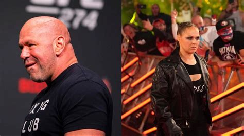 This Is Danas Attempt To Get Ronda Rousey Back Veteran Referee