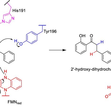 Course Of Conversion To The Biohydrogenation Of Halogenated Download Scientific Diagram