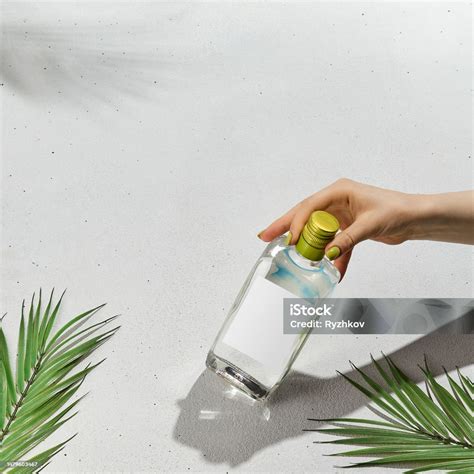 밝은 배경 손바닥 그림자에 알코올 병을 들고 있는 여자 여름 스타일의 알코올 음료 모형 알코올 음료를 보여주는 여성 손 젊은 손과 빈 장소를 가진 투명한 병 가까운에 대한