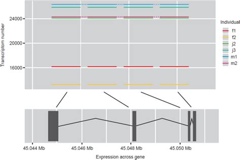 Shedding New Light On Early Sex Determination In Zebrafish PMC