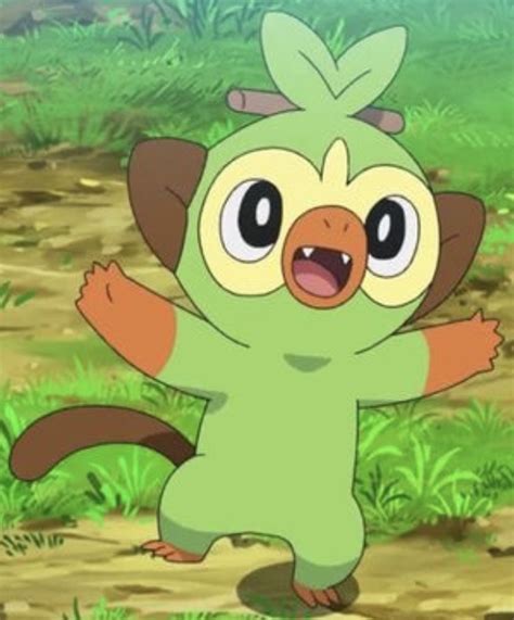 810 Grookey Screenshot Pokemon Anime Characters Cute Pokemon